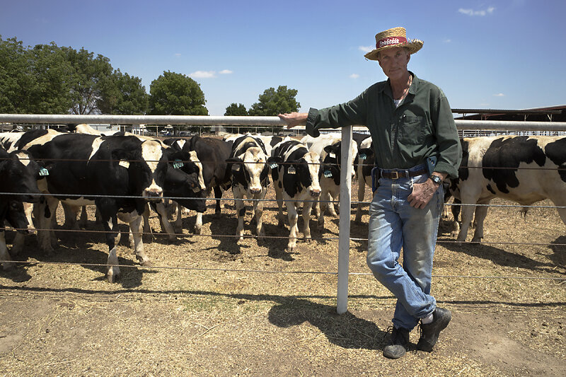 Doug, Dairy Farmer, Tipton, California - Sonya Naumann